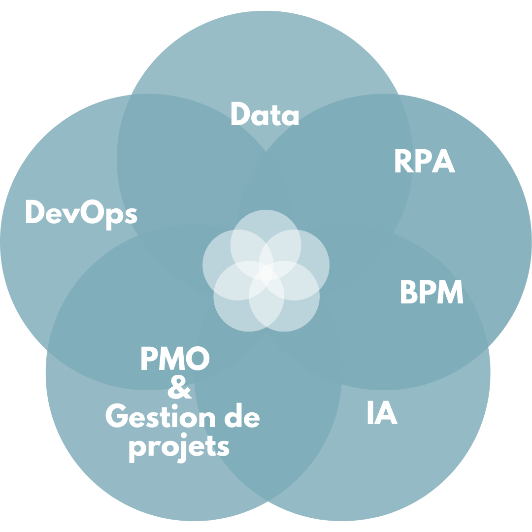 TED consulting - Technology Empowers Data